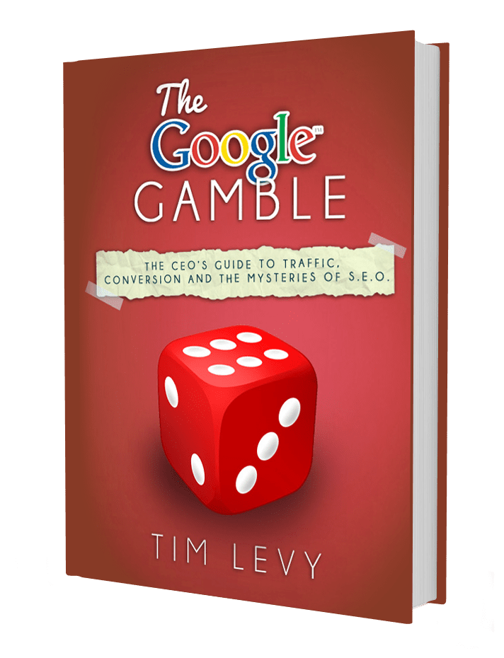 The Google Gamble by Tim Levy – Tim Levy